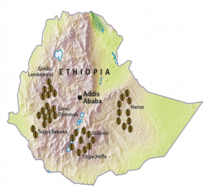 Ethiopia Limu | Tasting Notes | Witham’s Coffee Roaster